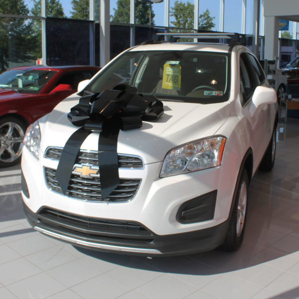 30 Inch Car Bows - 3 Day Bows