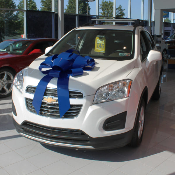 30 Inch Car Bows - 3 Day Bows