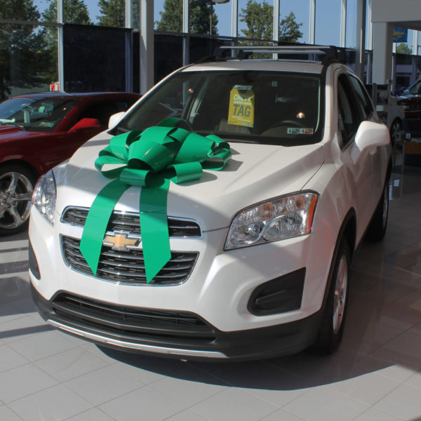 30 Inch Car Bows - 3 Day Bows