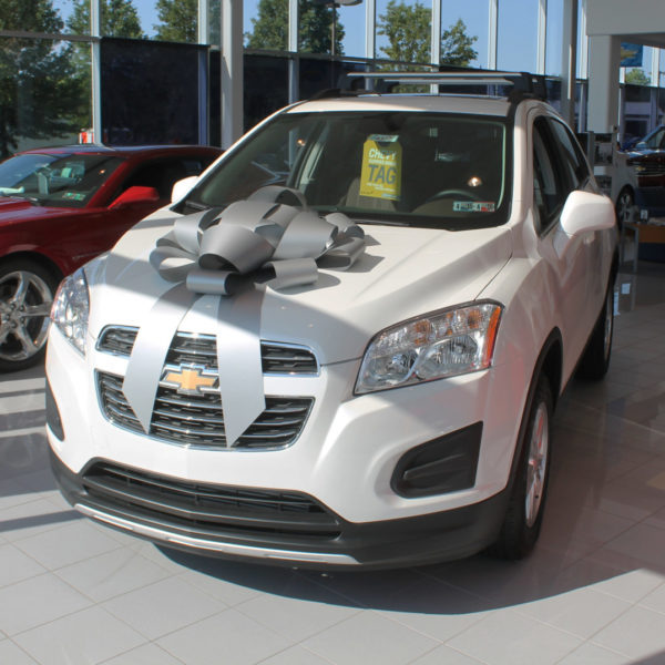 30 Inch Car Bows - 3 Day Bows